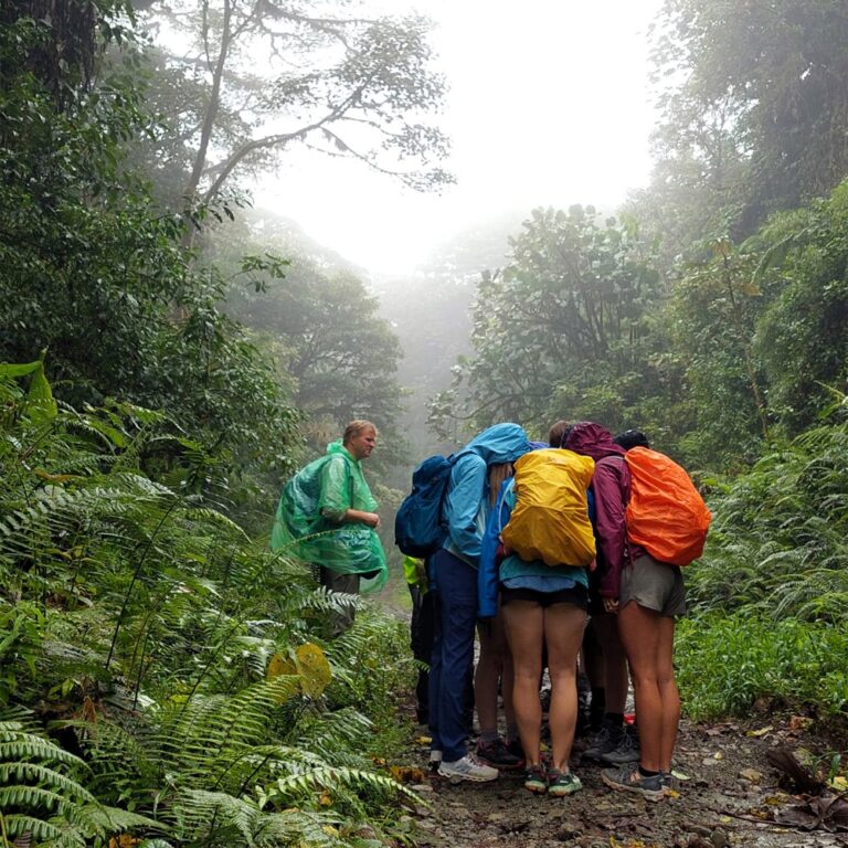 Open enrollment opportunities - Monteverde Institute