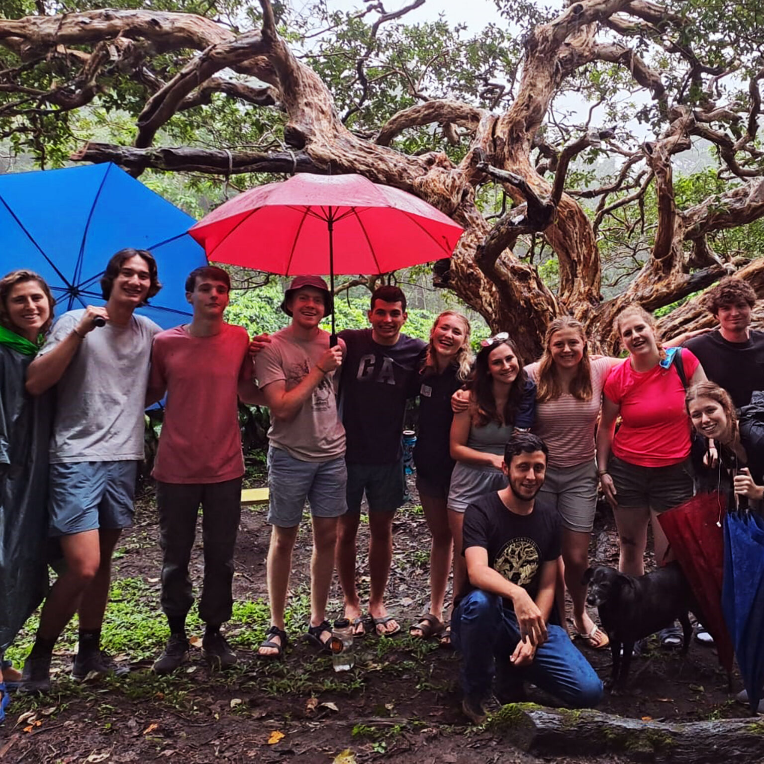 Tours and Courses - Monteverde Institute