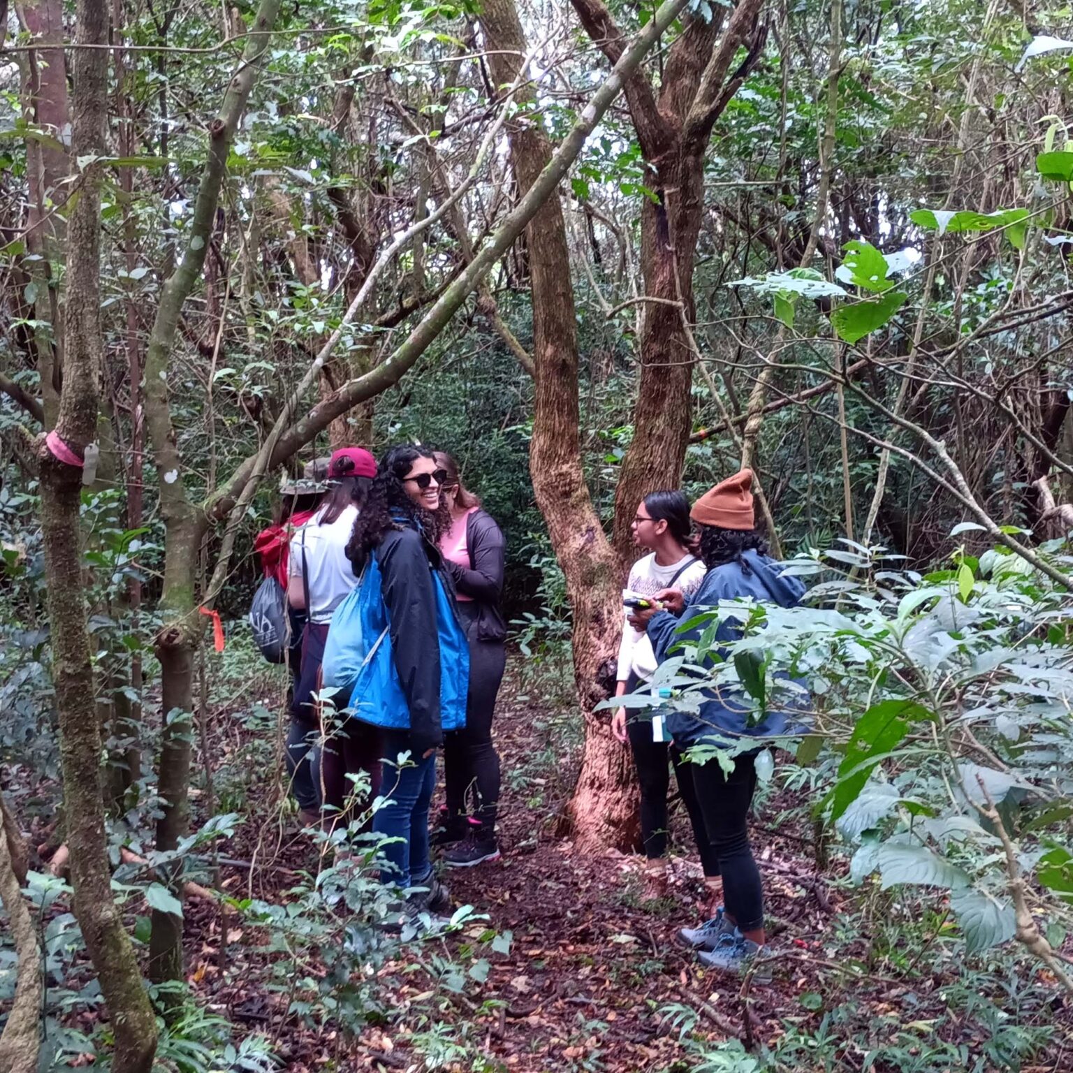 Create a course - Monteverde Institute